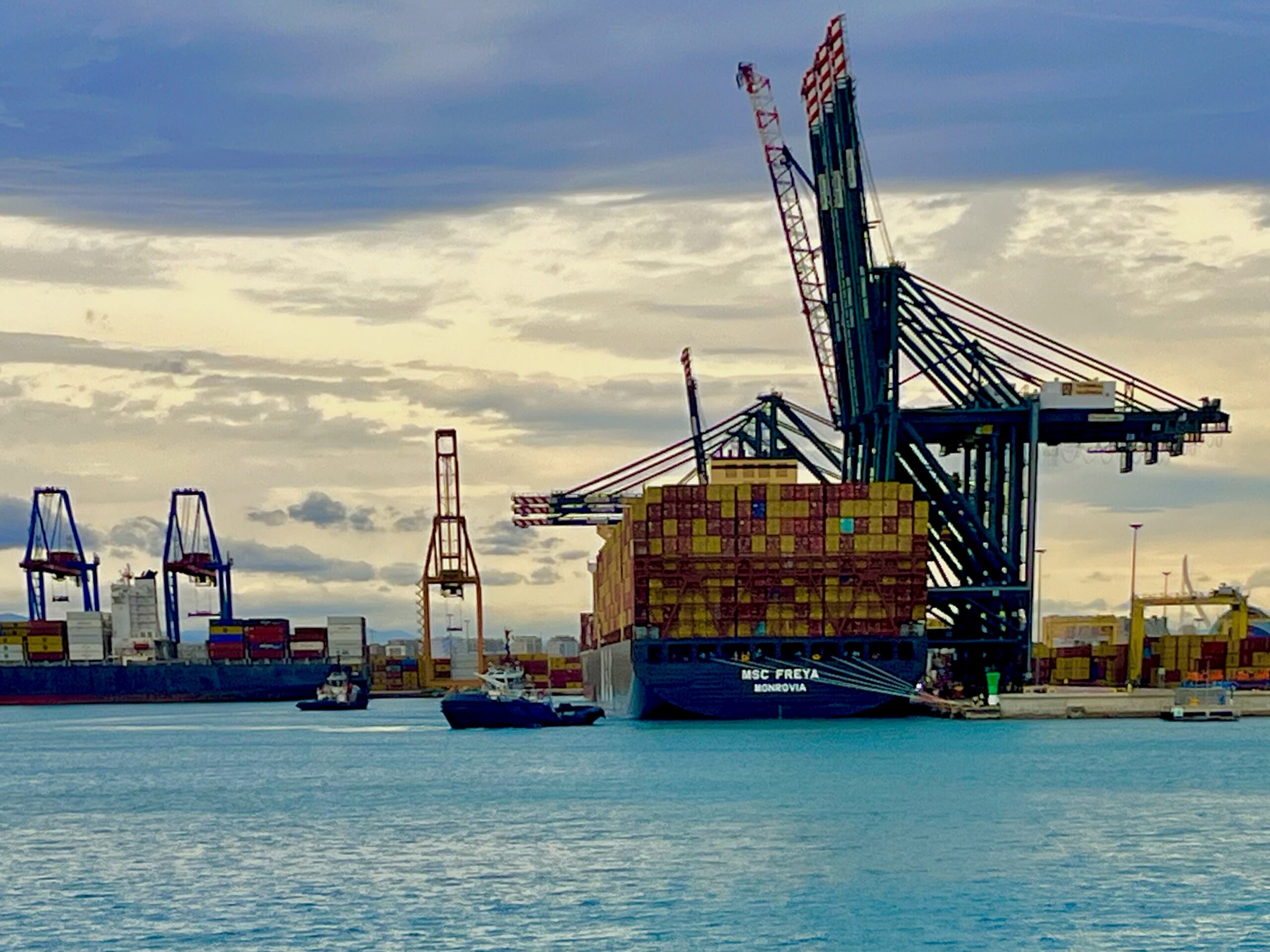 The capacity of the Port of València guarantees the import/export of ...