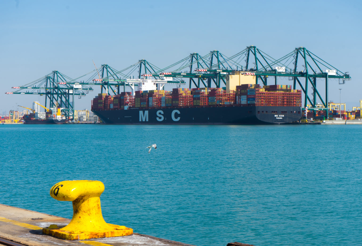 MSC Sixin, the largest capacity ship in the history of the Port, docks ...