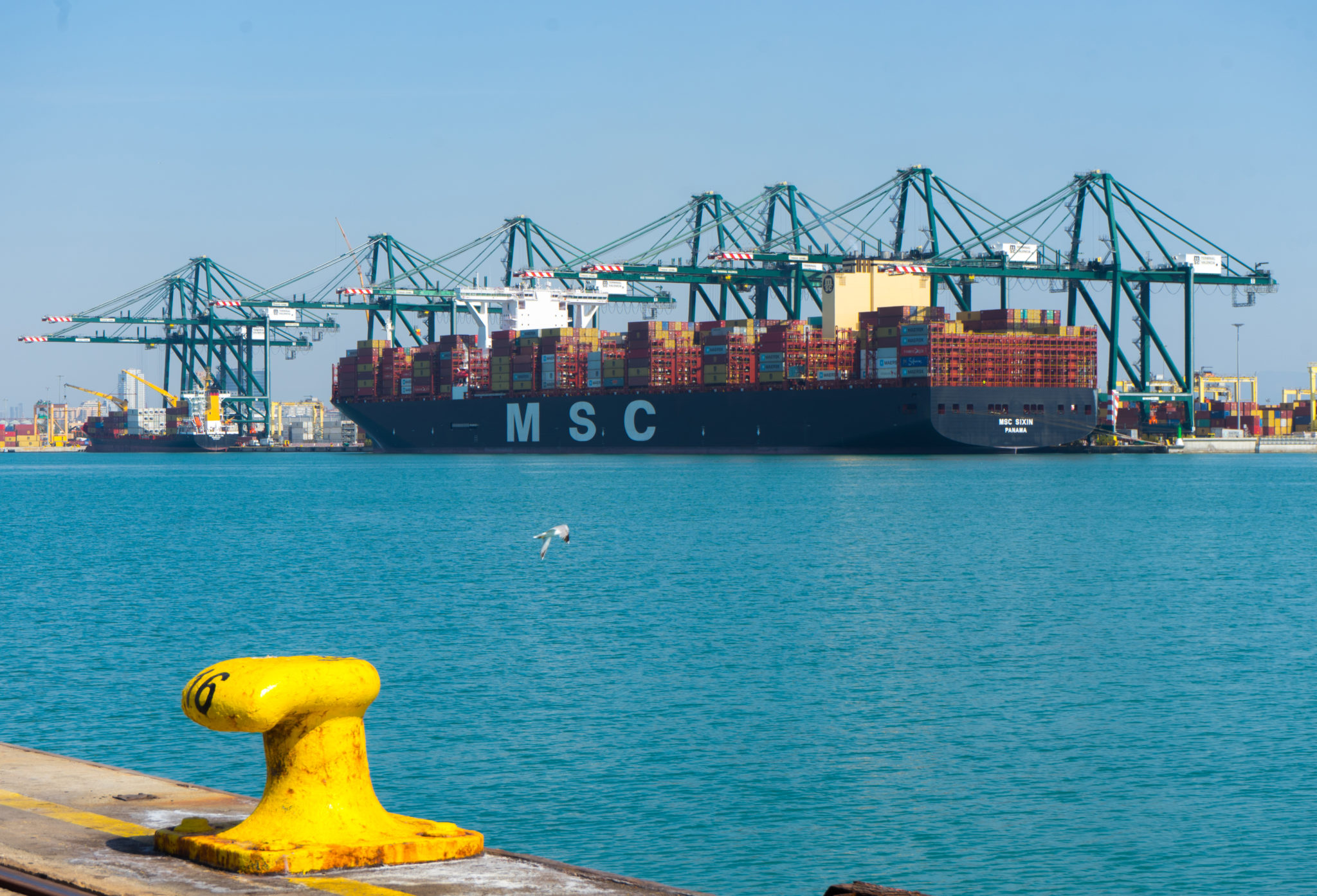 MSC Sixin, the largest capacity ship in the history of the Port, docks ...