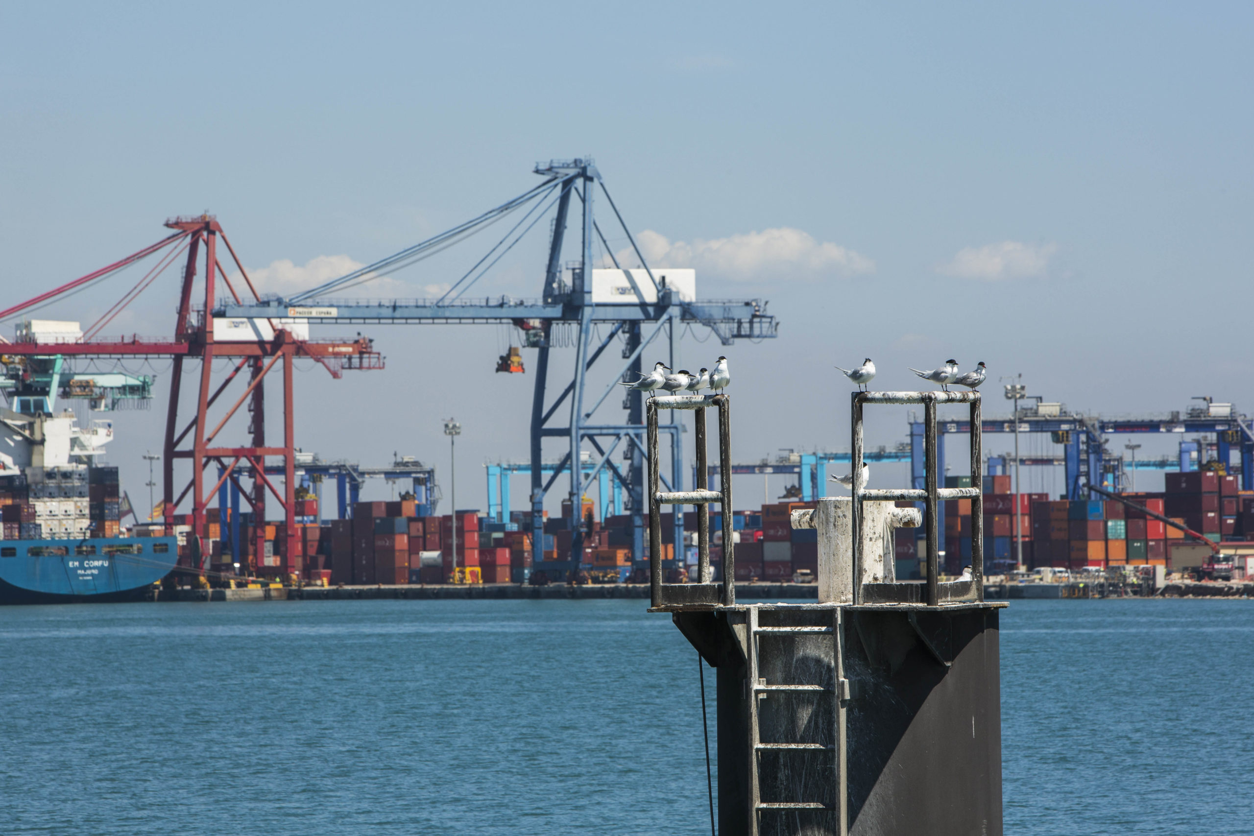 Valenciaport joins the club of the 12 largest ports in the world that ...
